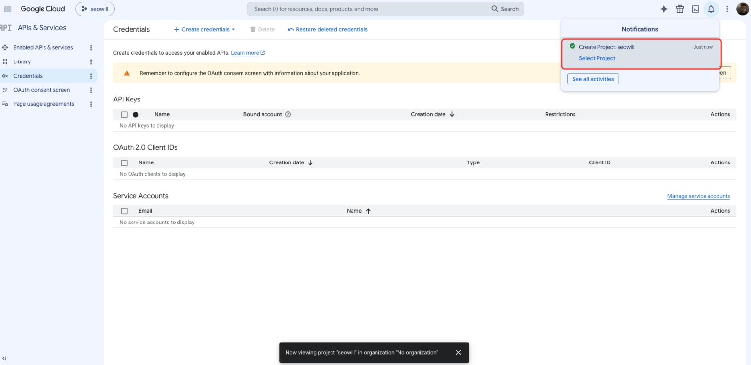 Instant Indexing Operations Guide | SEOWILL (Formerly SEOAnt)